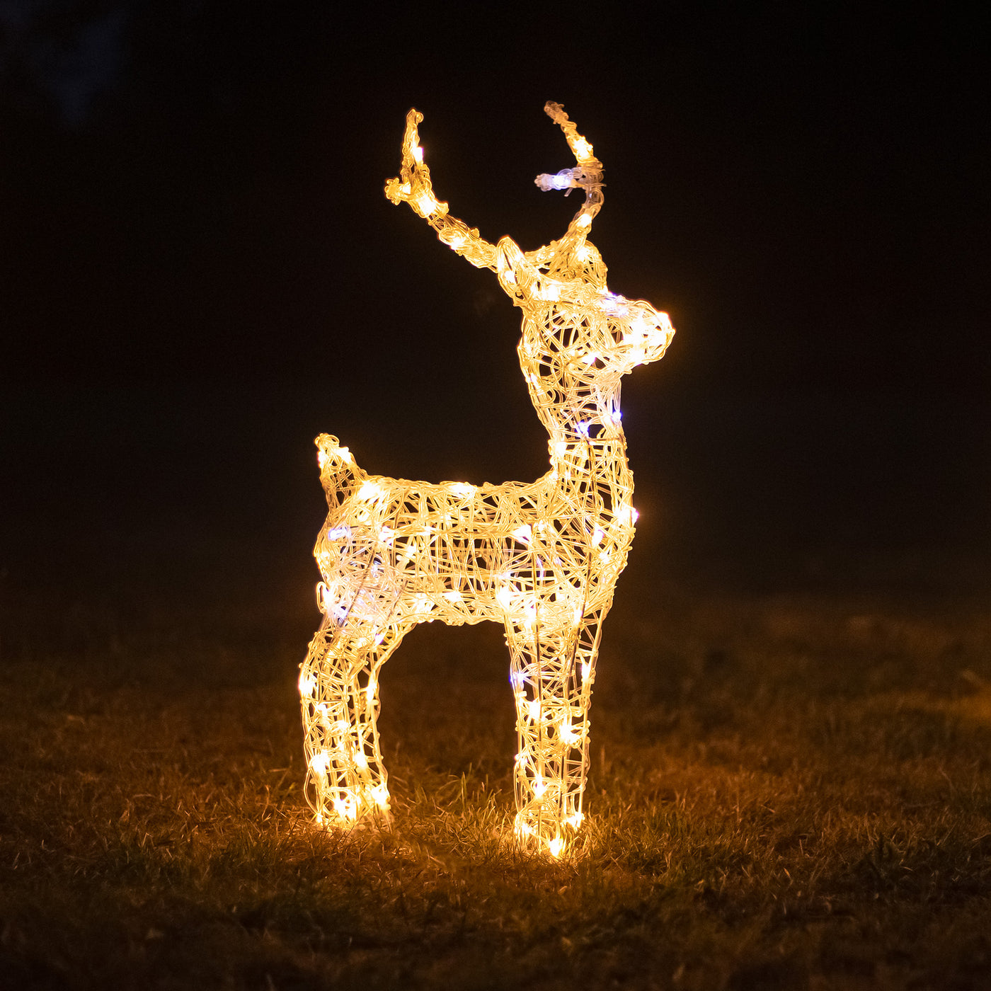Outdoor Christmas Light Up Reindeers - Garden Trends